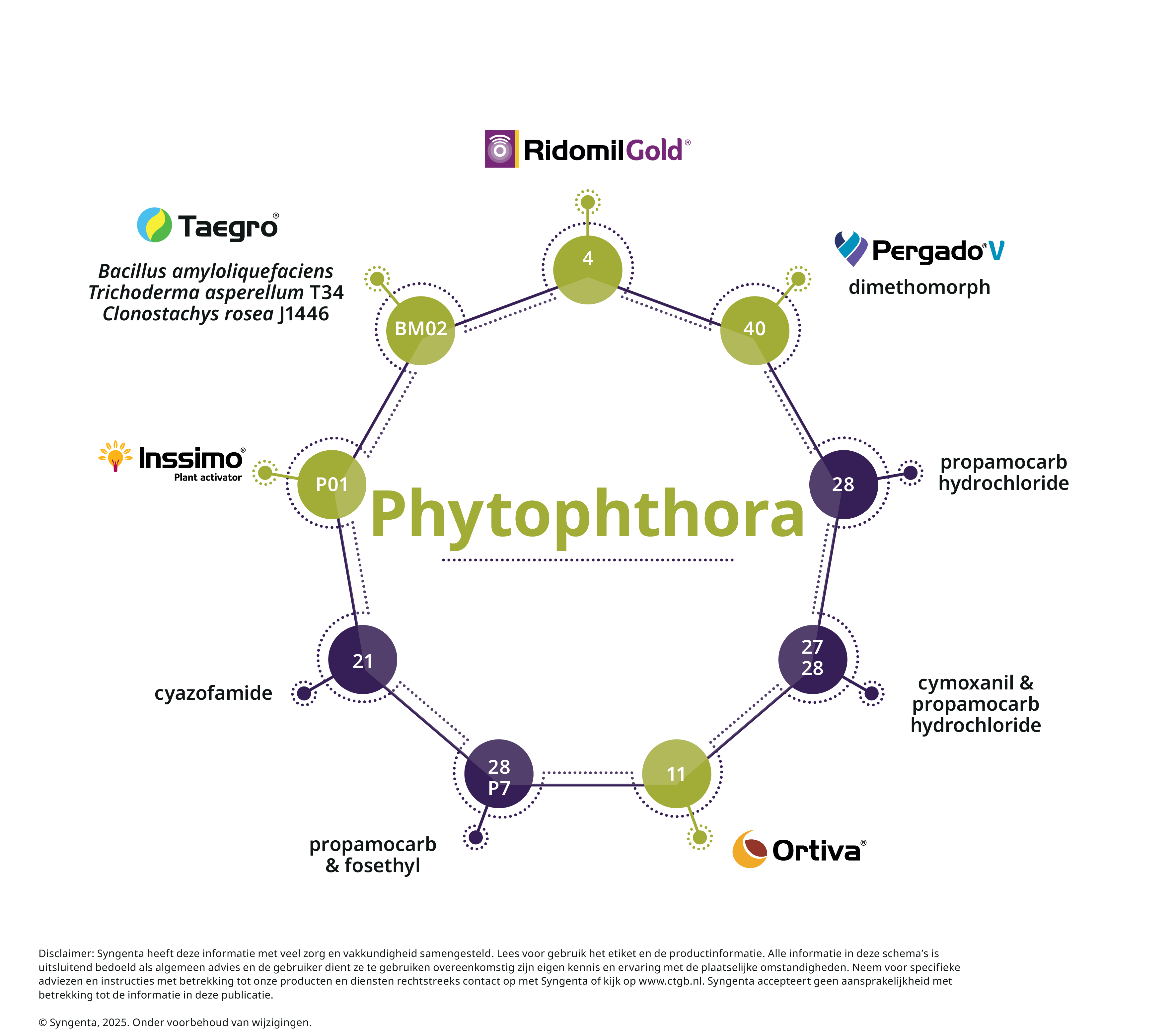 Resistentiemanagement Phytophthora | Syngenta Nederland