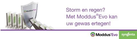 Moddus Evo: Innovatieve Groeiregulatie voor Granen | Syngenta