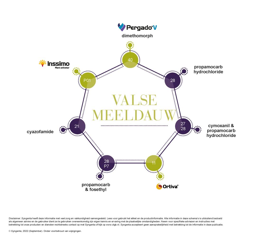 Resistentiemanagement valse meeldauw | Syngenta Nederland