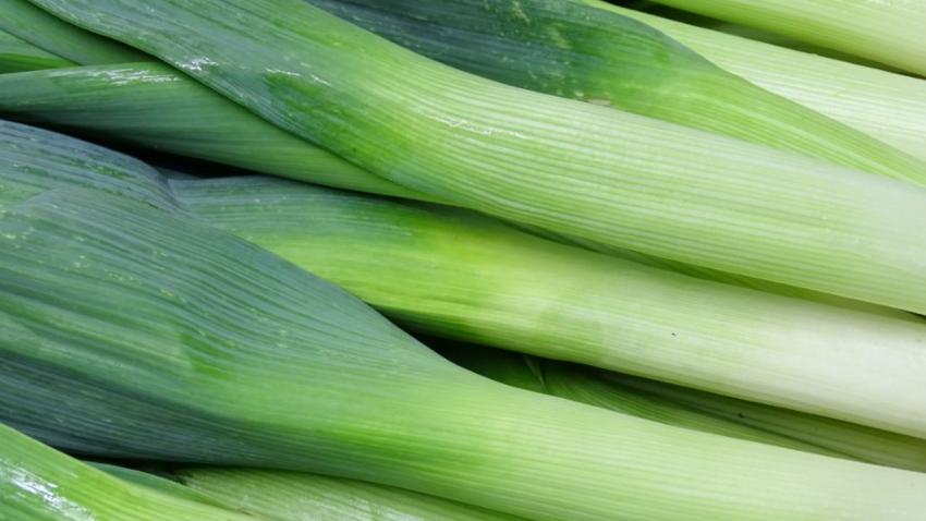 Gezonde teelt van stengelgroenten door bescherming tegen schimmels