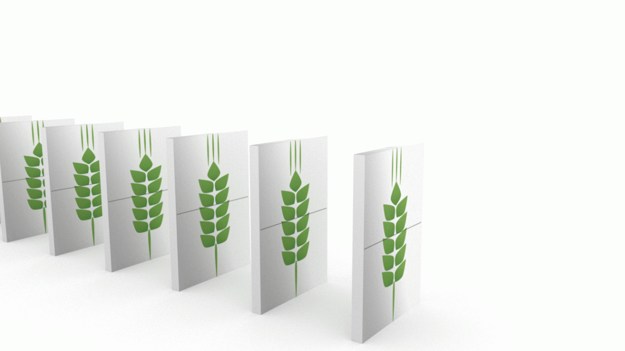 Moddus Evo: Innovatieve Groeiregulatie voor Granen | Syngenta